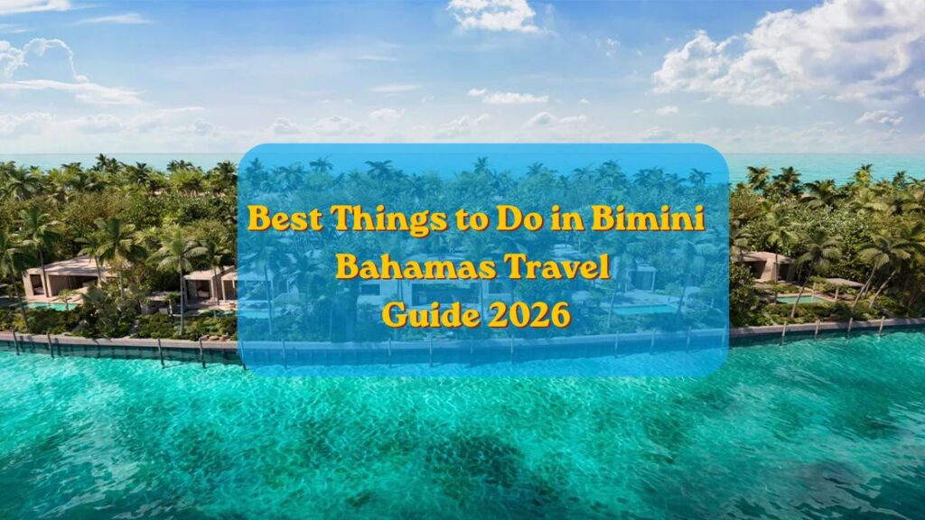 Best Things to Do in Bimini Bahamas Travel Guide 2026